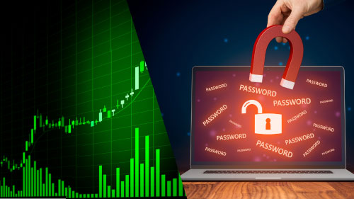 Protect your personal information from hackers - Breached.Me